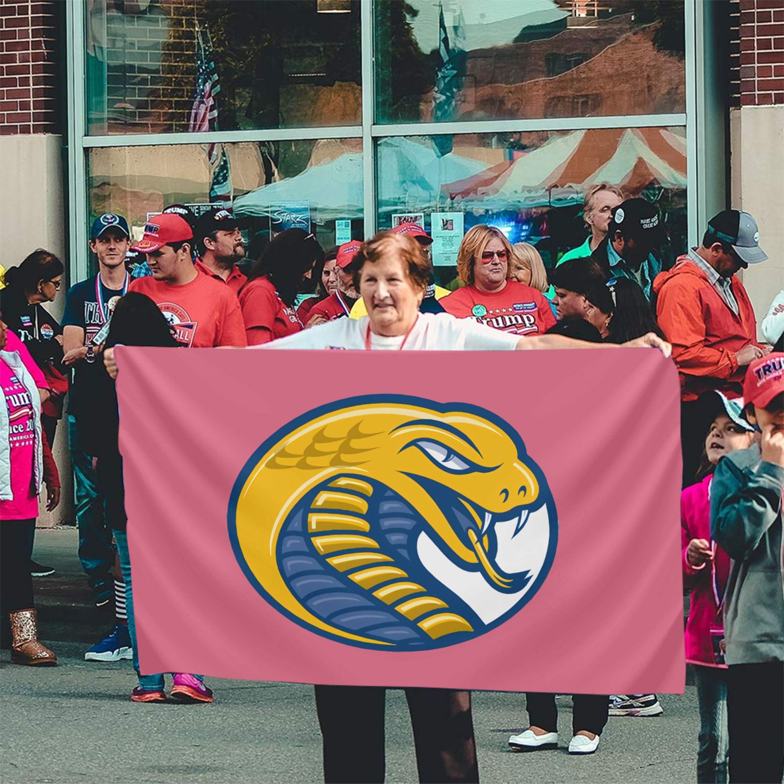 Coker University Logo Flag 3x5 Outdoor ,Sewn Stripes, Stronger Brass ...