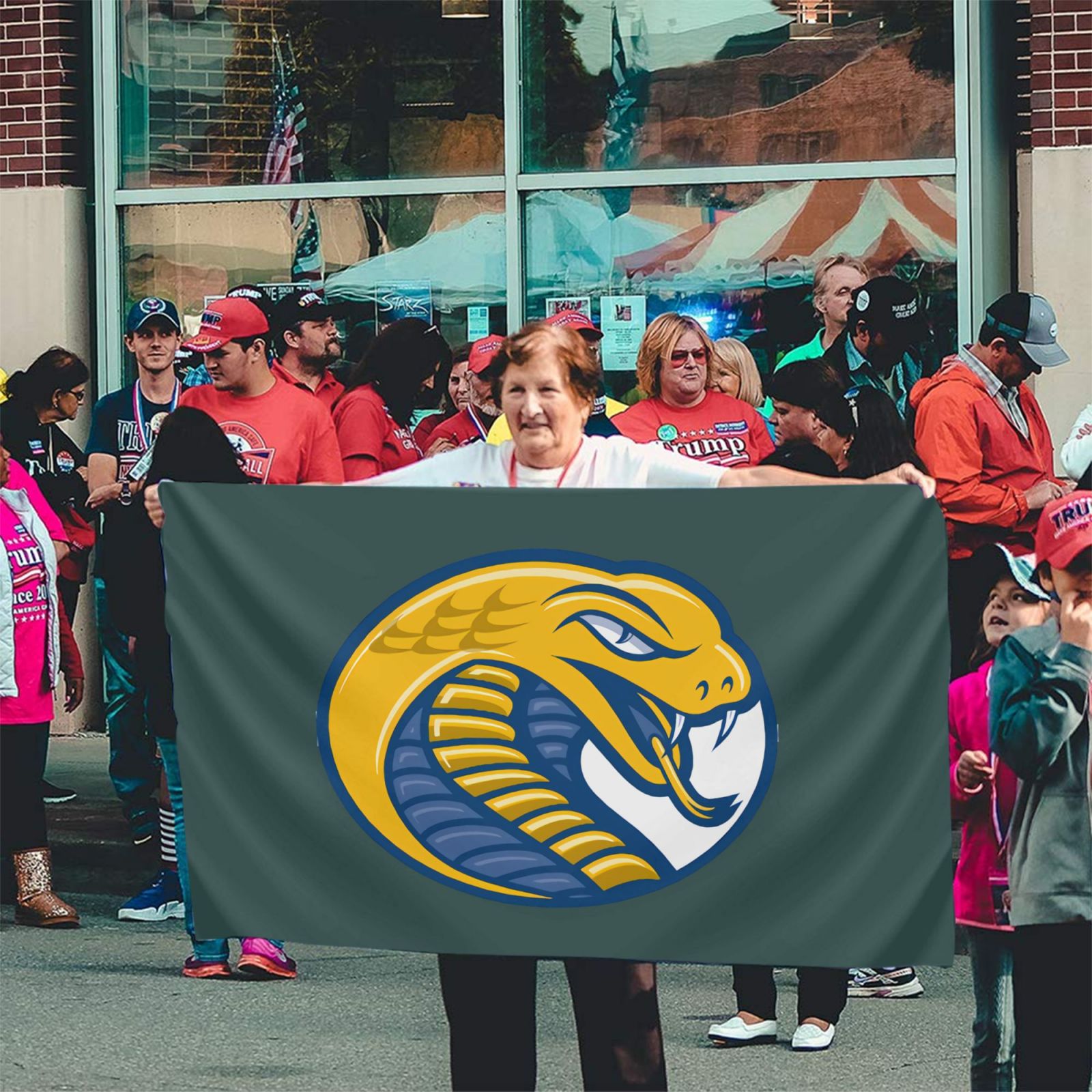 Coker University Logo Flag 3x5 Outdoor ,Sewn Stripes, Stronger Brass ...
