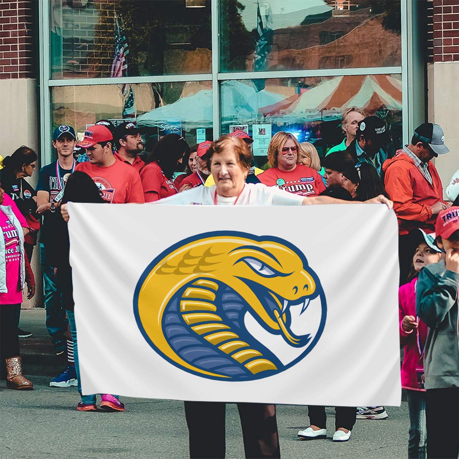 Coker University Logo Flag 3x5 Outdoor ,Sewn Stripes, Stronger Brass ...