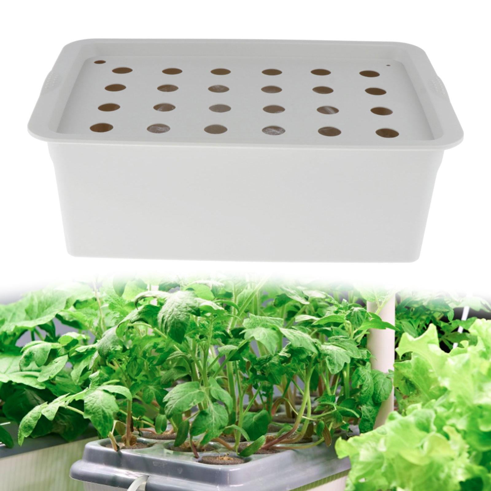Colaxi 24 Sites Indoor Hydroponic Grow Set Indoor Cultivation Box Plant ...