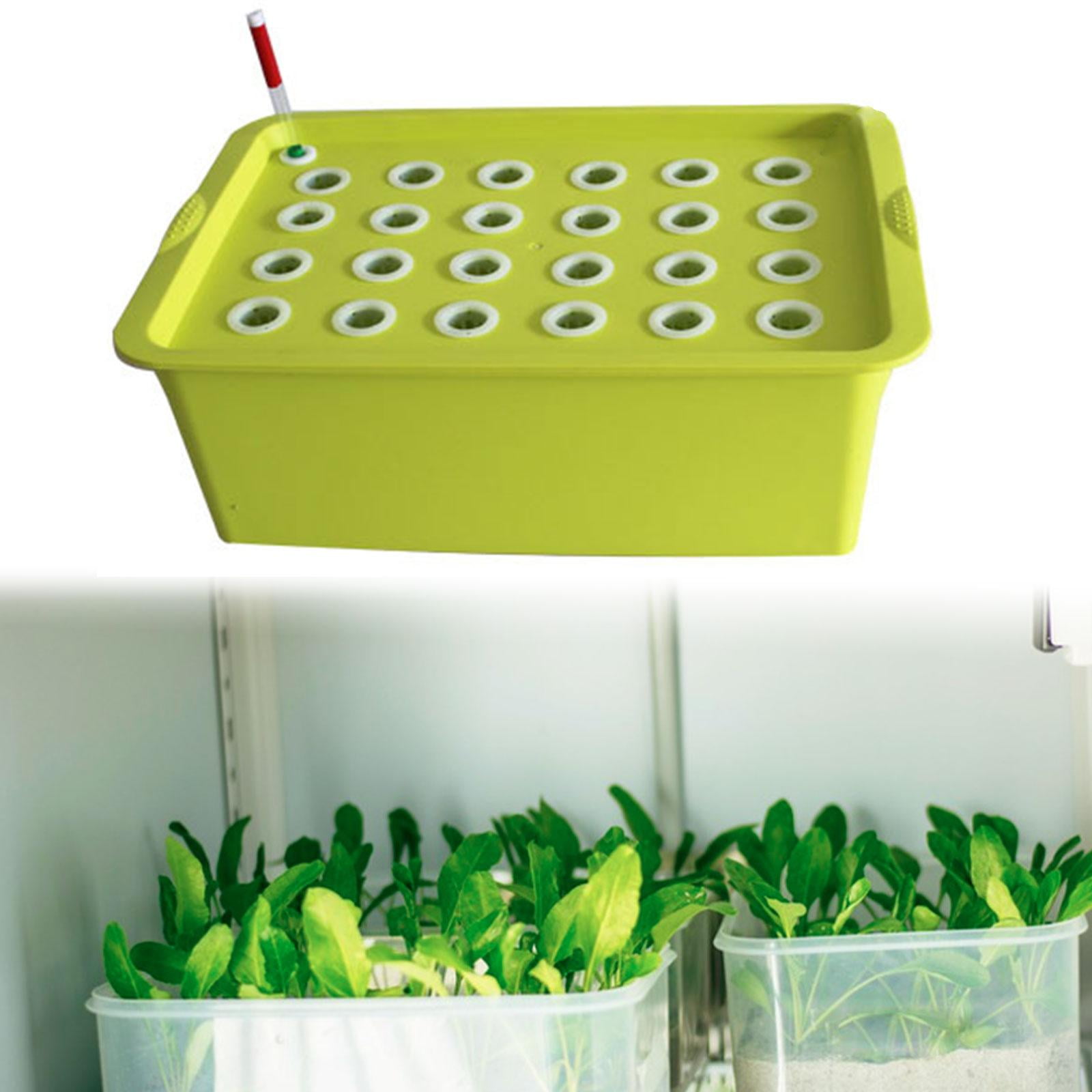Colaxi 24 Sites Indoor Hydroponic Grow Set Indoor Cultivation Box Plant ...