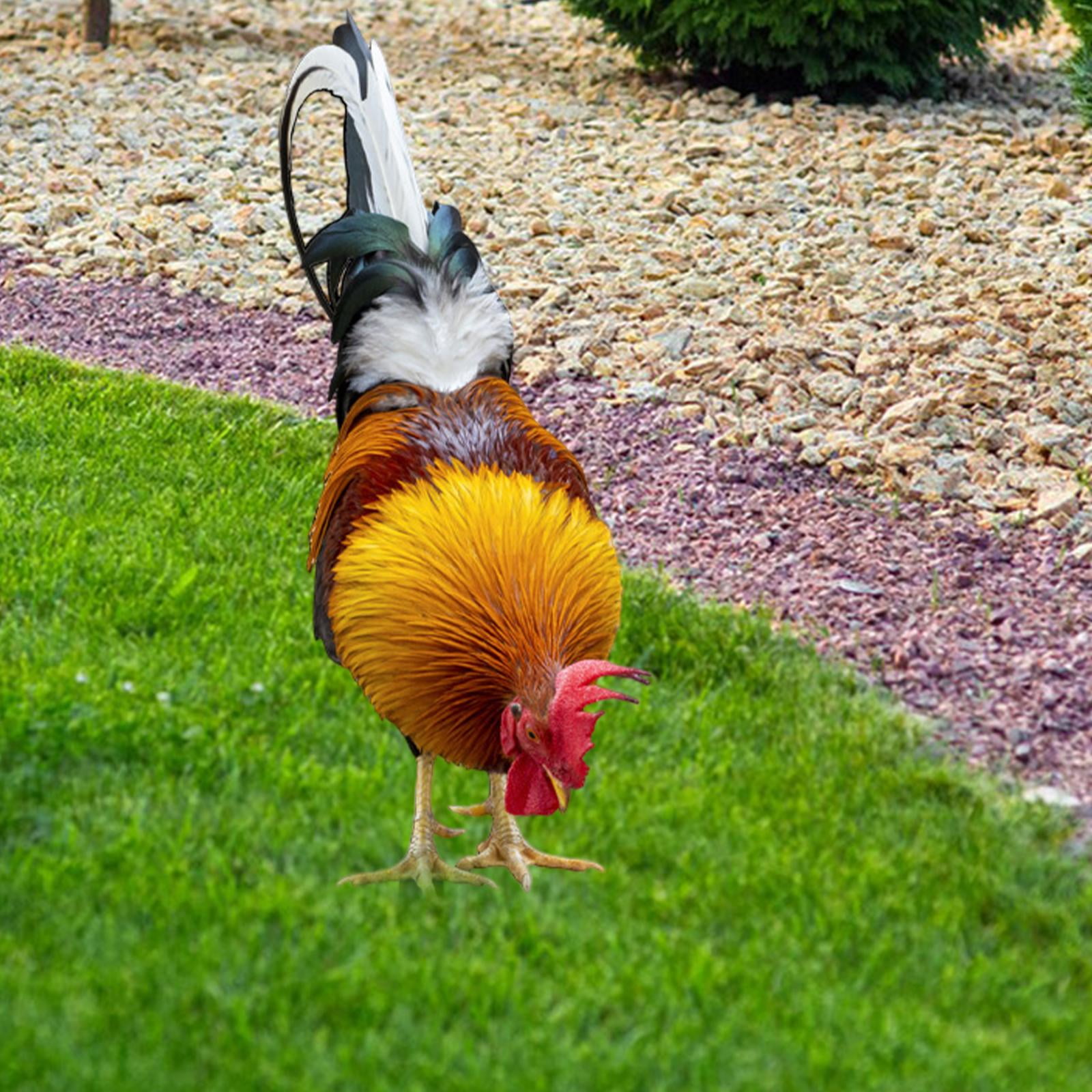 Colaxi Chicken Animal Statue, Stakes, Chicken Statue, Acrylic Figurines ...