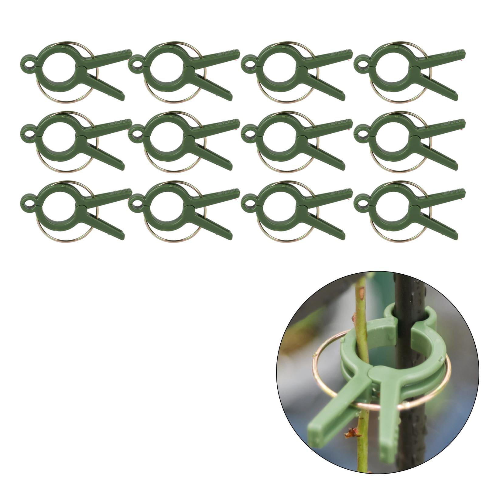 Colaxi Garden Plant Clips Flower and Vine Clips Vertical Gardening ...