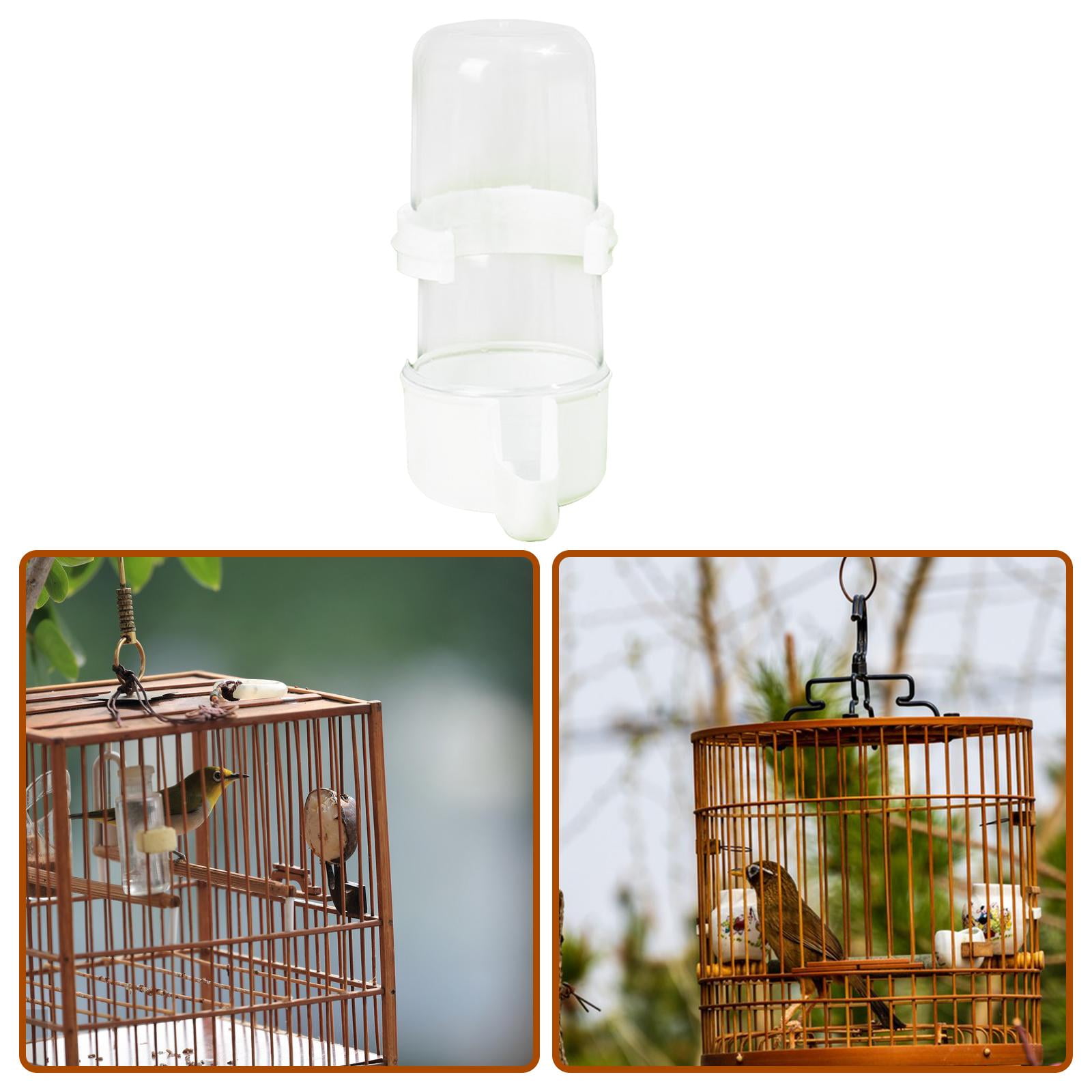 Colaxi Parrot Bird Water Feeder Bird Food Water Dispenser Easily Clean ...