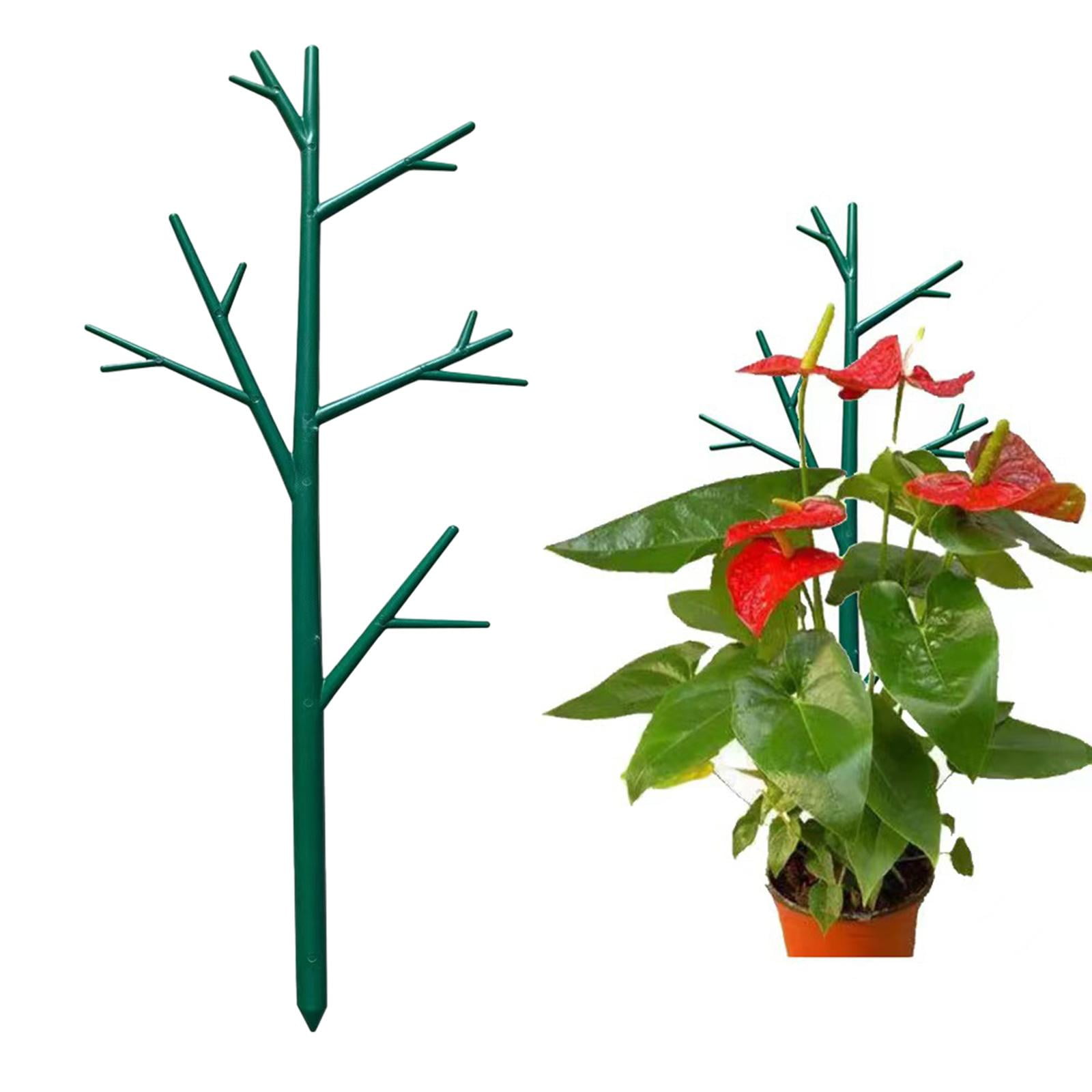 Colaxi Plant Support Stake Branch Plant Stick, Multipurpose, Plant ...