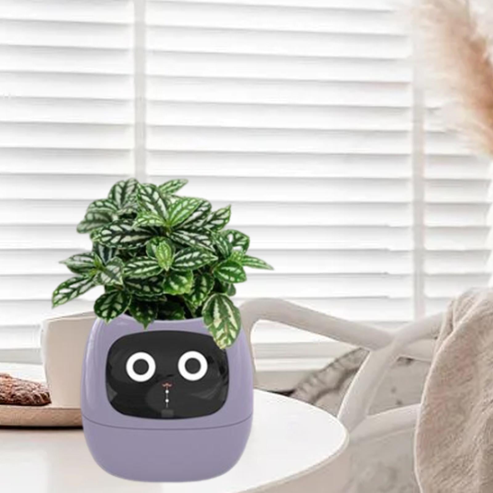 Colaxi Smart Flowerpot Planter Robot Smart Sensors Adorable with Emojis ...
