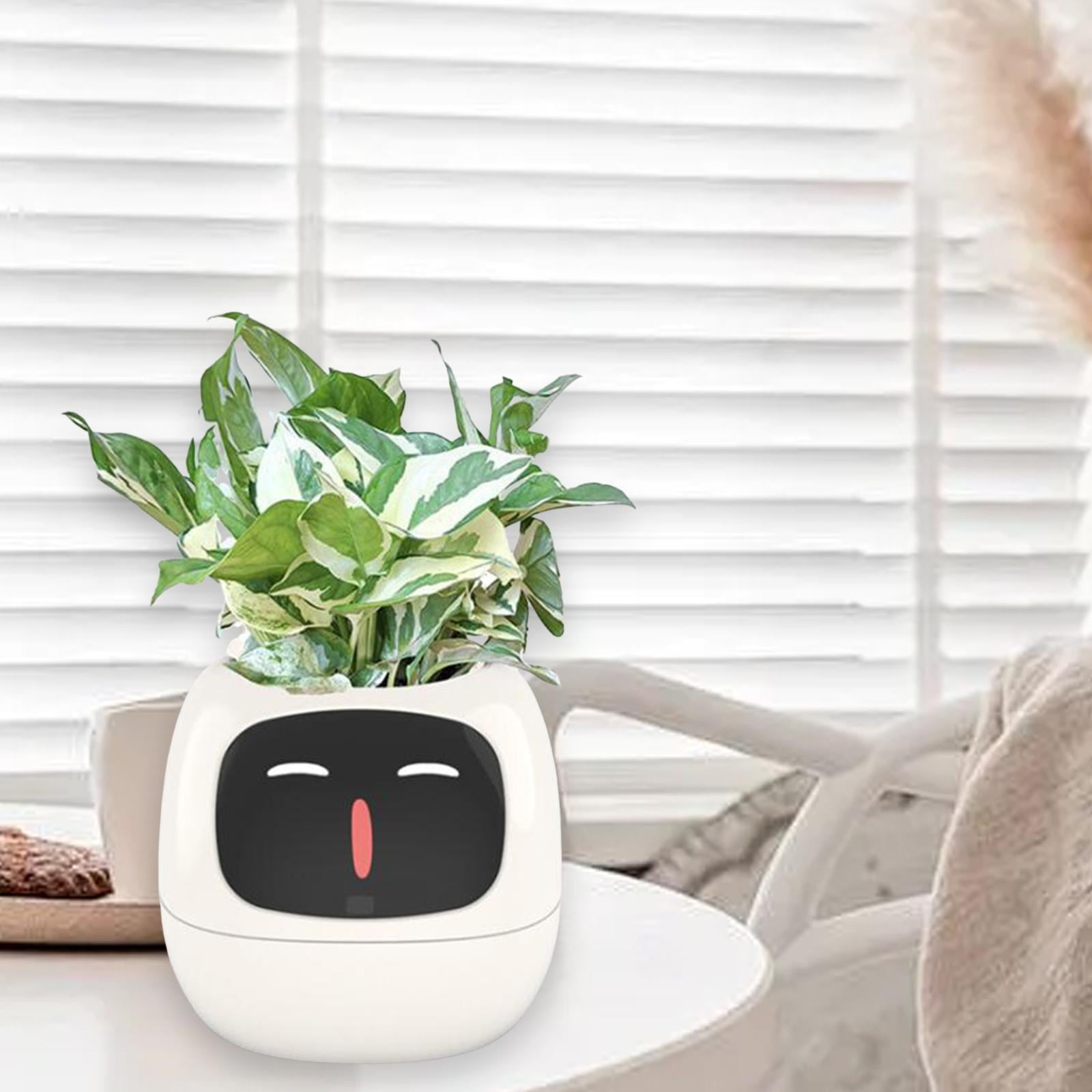 Colaxi Smart Flowerpot Planter Robot Smart Sensors Adorable with Emojis ...