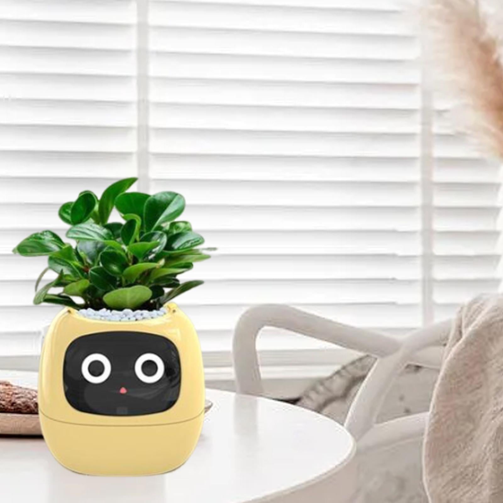 Colaxi Smart Flowerpot Planter Robot Smart Sensors Adorable with Emojis ...