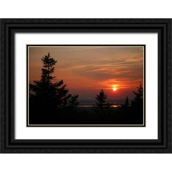 Colberg, Lisa 32x23 Black Ornate Wood Framed with Double Matting Museum ...