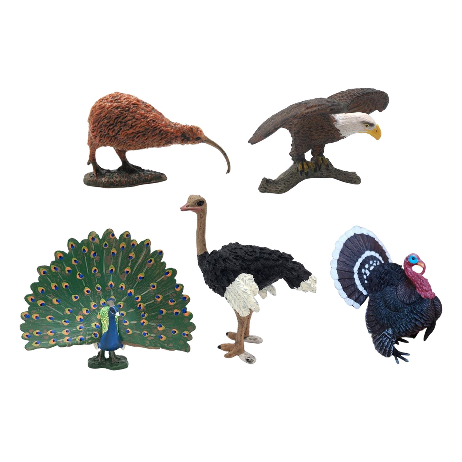 Colcolo 5 Pieces s Figurines Model Artificial Birds Figure Toys for ...