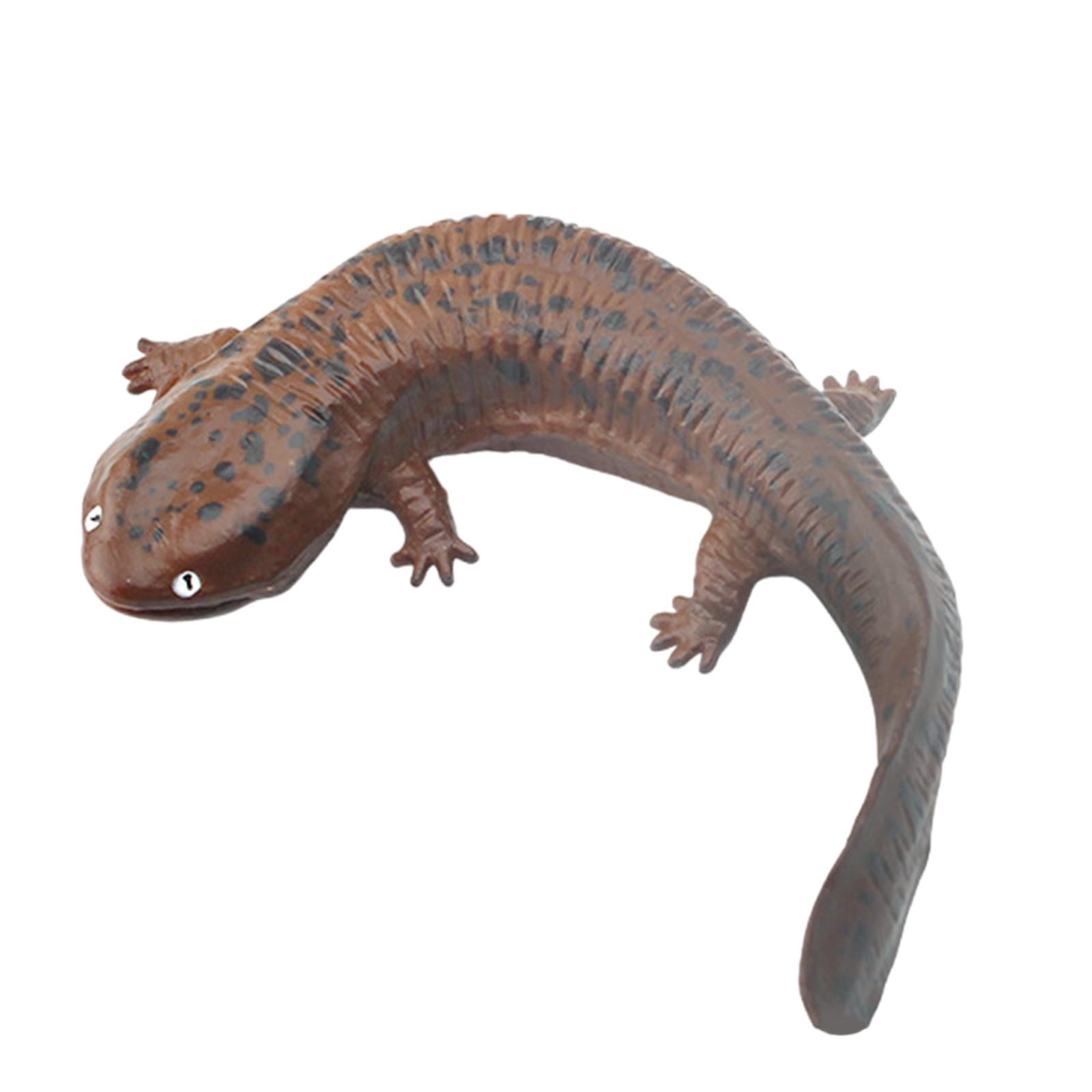 Colcolo Salamander Figurine Salamander Playset Model Salamander Animal ...