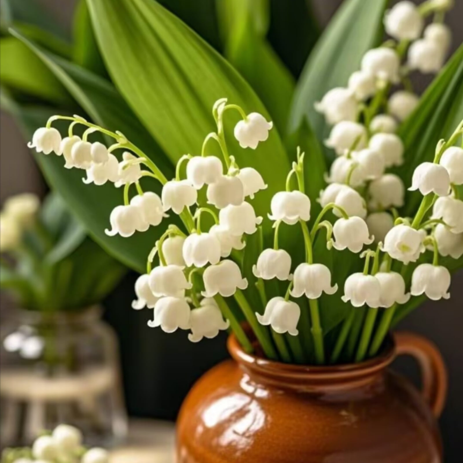Cold - Hardy Lily of the Valley: Easy Care, Long Bloom, Rich Scent ...