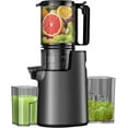 Cold Press Juice Extractor, Slow Masticating Juice Extractor, 350 Watt ...
