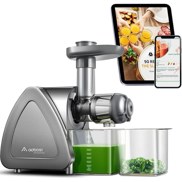 Cold Press Juicer, Aobosi Slow Masticating Juicer Machines with Reverse ...