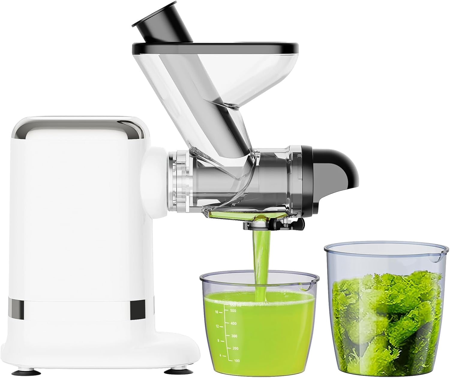 Cold Press Juicer, Powerful Masticating Juicer with Dual Feed Chute ...