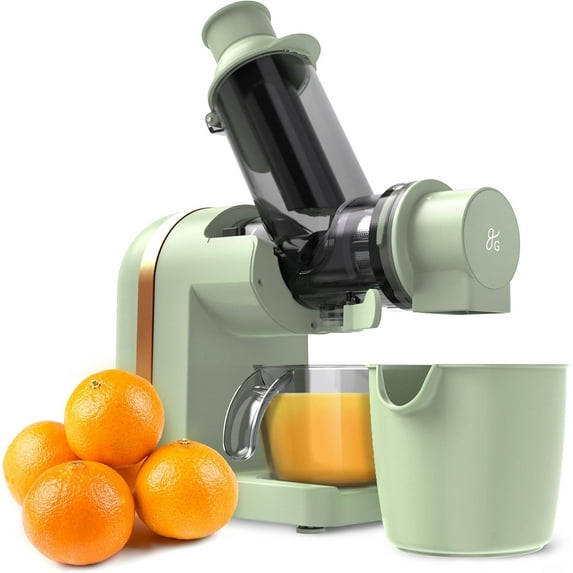 Cold Press Juicer, Powerful Slow Masticating Juice Extractor with Quiet ...