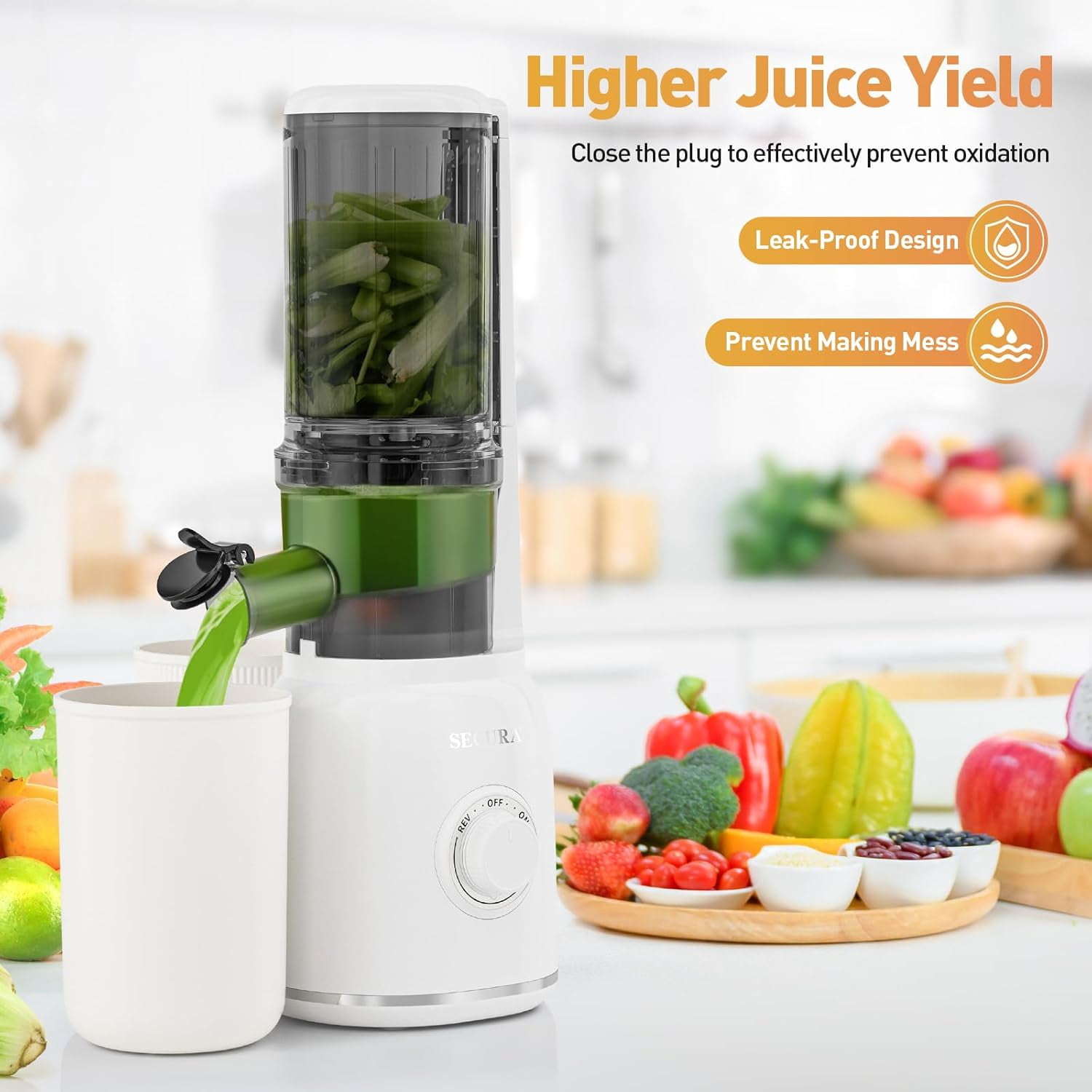 Cold Press Juicer with Stainless Steel Prong Spiral Auger & Mesh Free ...