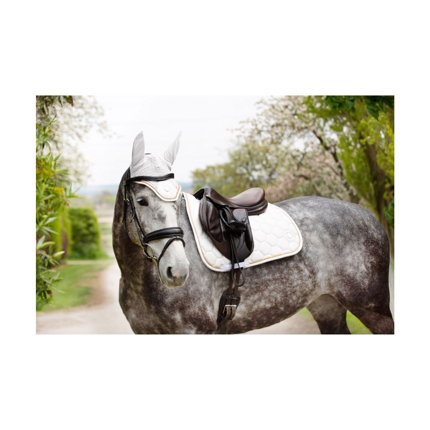 Coldstream Marygold Horse Fly Veil - Walmart.com