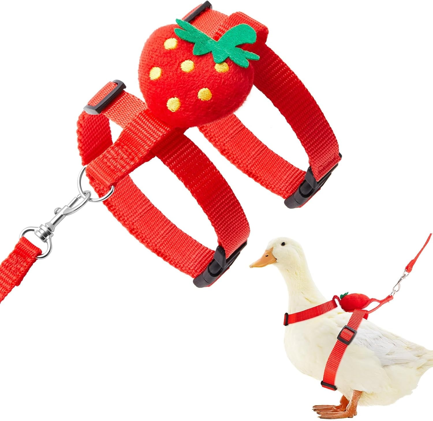 Cole Duck Harness Leash Set Duck Harness and Leash for Real Ducks ...