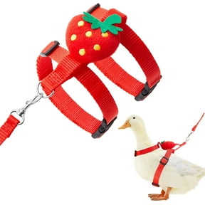 Valhoma Pet Chicken Harness and/or Leash Bright Fun Colors Pet Duck ...