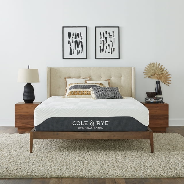 Cole & Rye 12" Plush Mattress | Sleep accessories for retail - Walmart ...