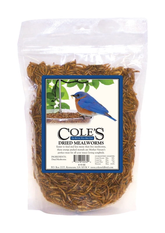 DRIED MEALWORM 9.15OZ (Pack of 1) - Walmart.com