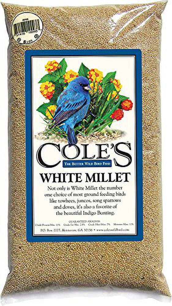 Cole's MI20 White Millet Bird Seed, 20-Pound - Walmart.com
