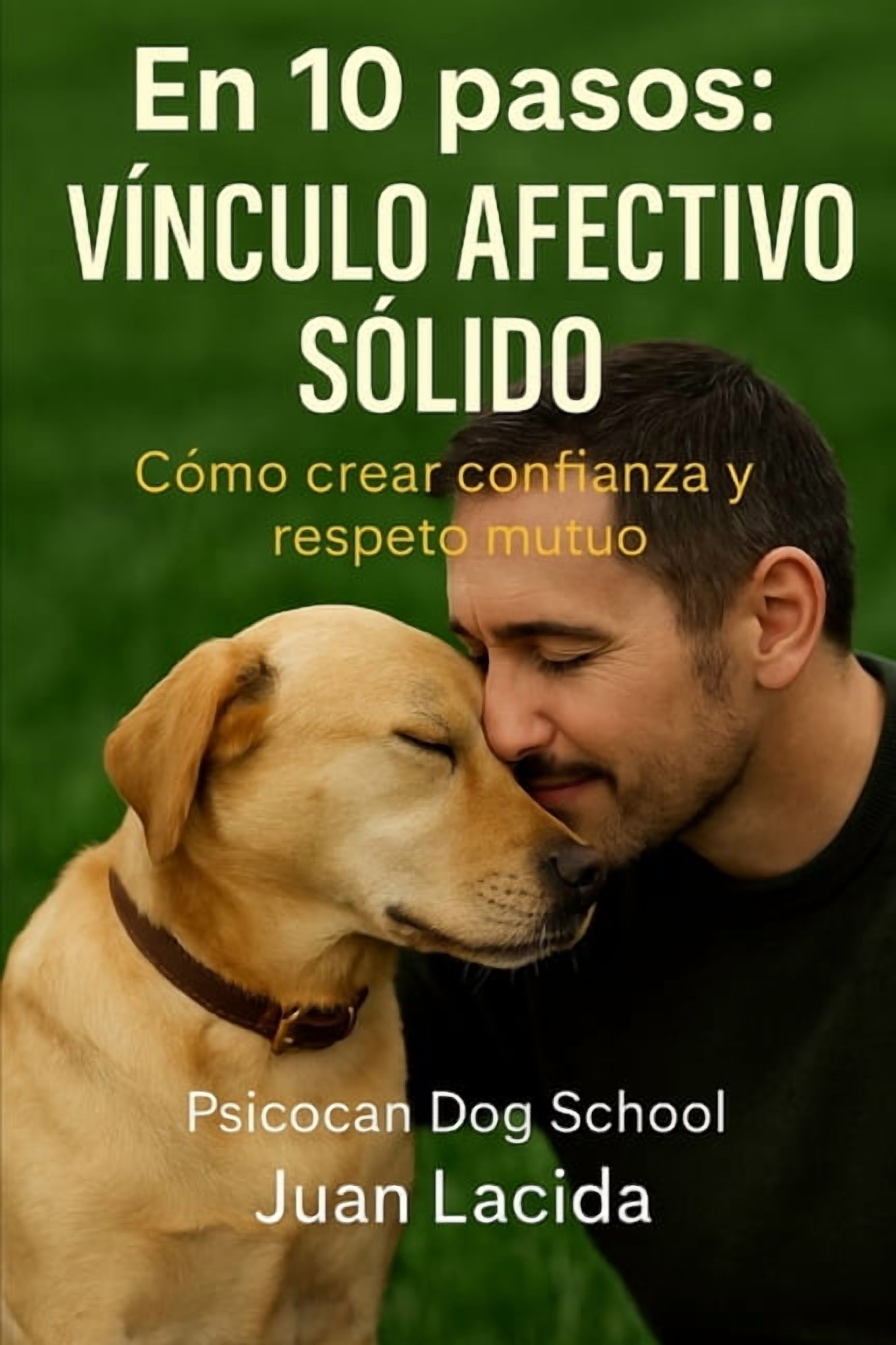 ColecciÃ³n En 10 Pasos En 10 pasos: vÃ­nculo afectivo sÃ³lido: CÃ³mo ...