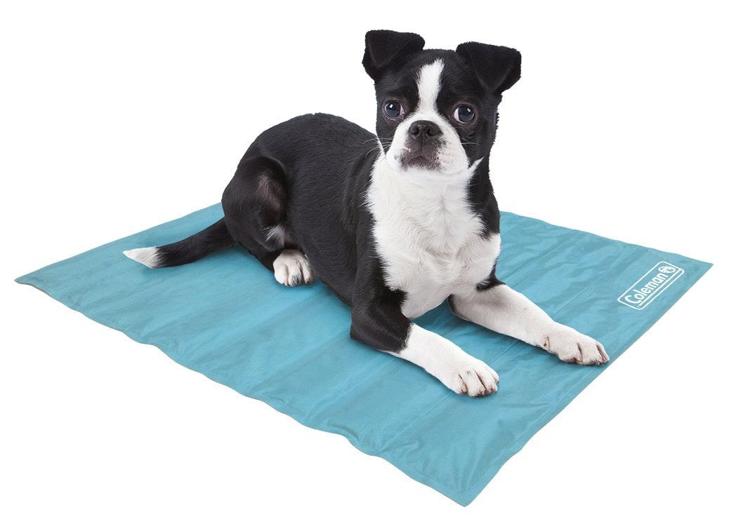 Coleman Comfort Cooling Gel Pet Pad Mat 12 in x 16 in - Walmart.com
