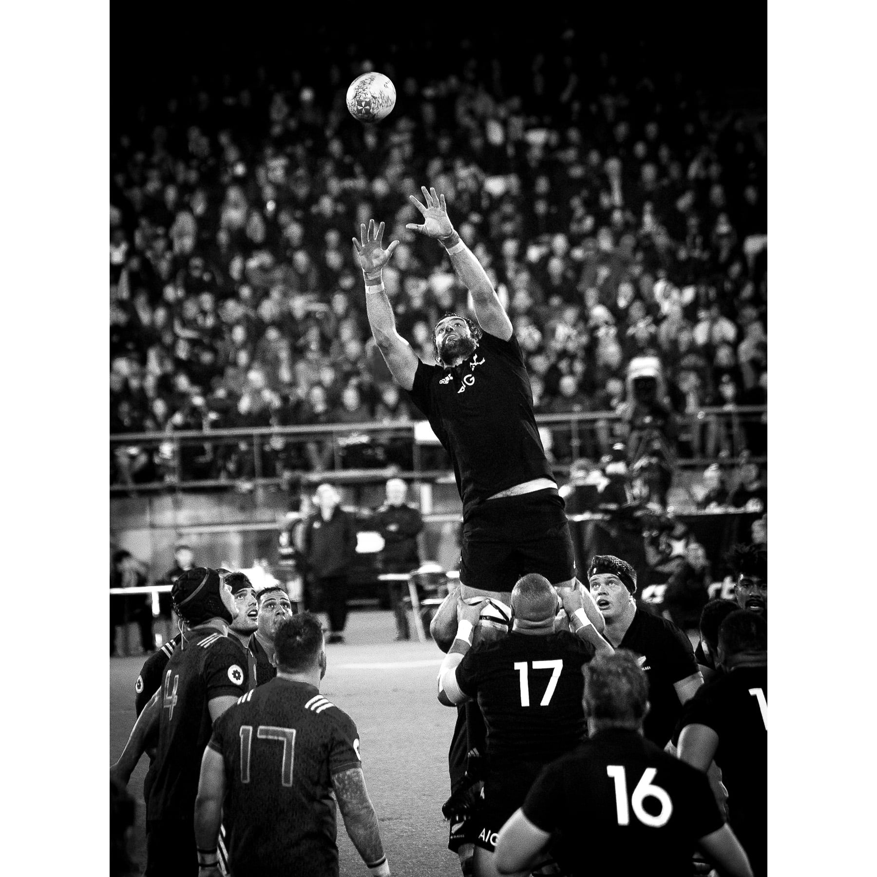 Coleman Rugby Line Out New Zealand Photo Extra Large XL Wall Art Poster ...