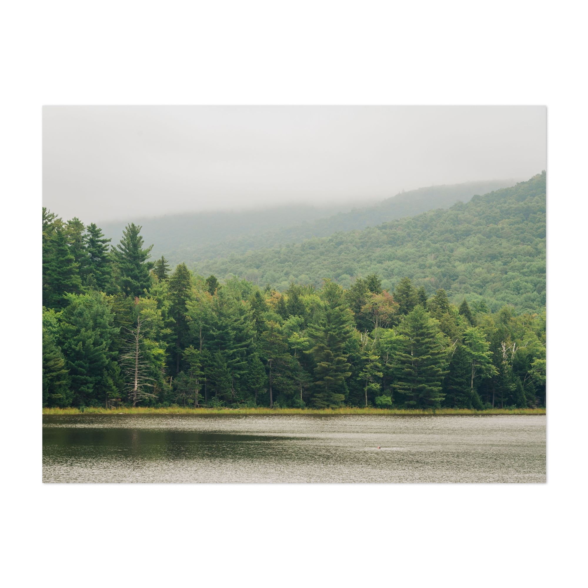 Colgate Lake, Catskills - New York Photography Nature Forest Landscape ...