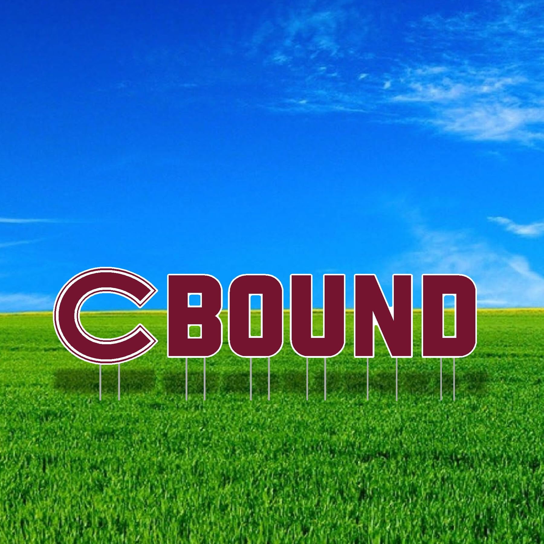 Colgate University BOUND Mascot Yard Sign Set - Walmart.com