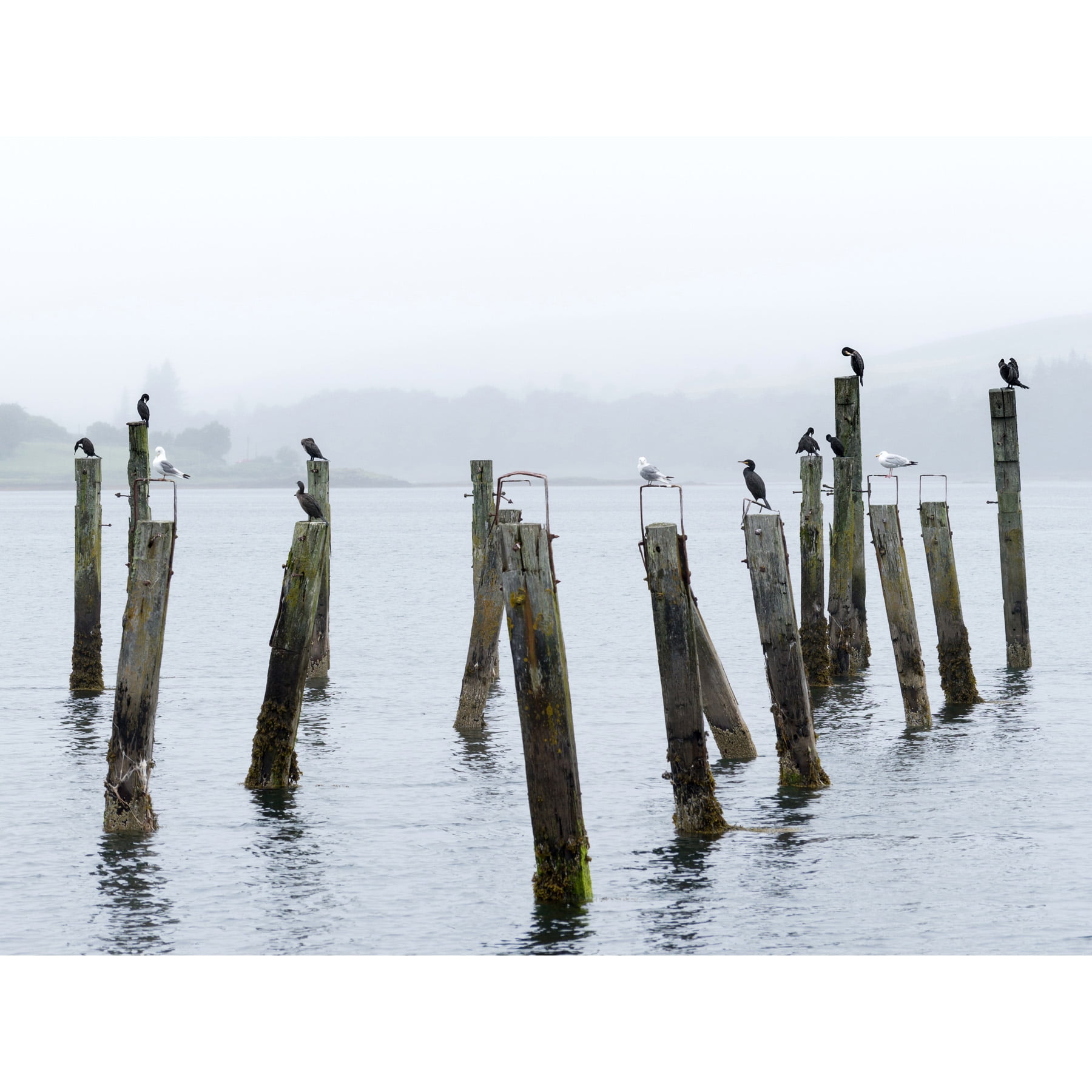 Colin Old Pier Salen Isle Mull Scotland Photo Extra Large XL Wall Art ...