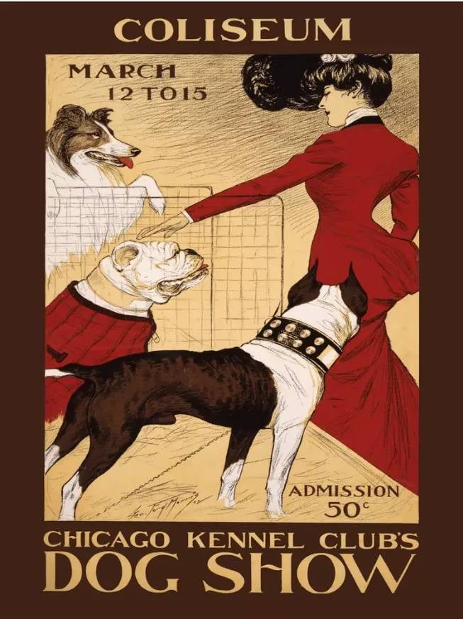 .Coliseum.chicago kennel clubs.dog show.POSTER.Decoration.Graphic Art ...