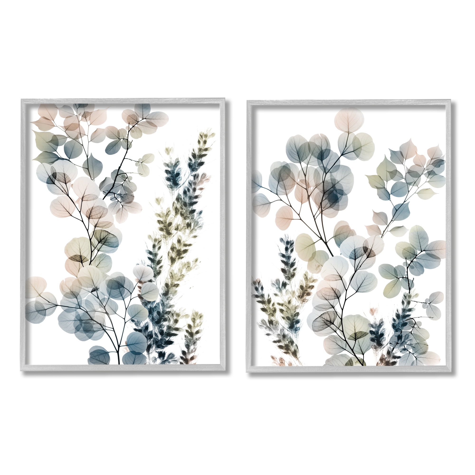 Stupell Industries Collage of Translucent Plants Framed Art Prints ...