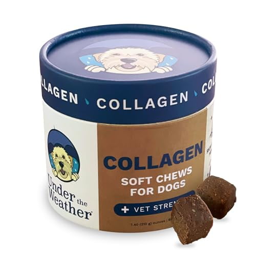 Collagen Chews For Dogs | Promotes Healthy Skin Coat And Stronger Hip ...