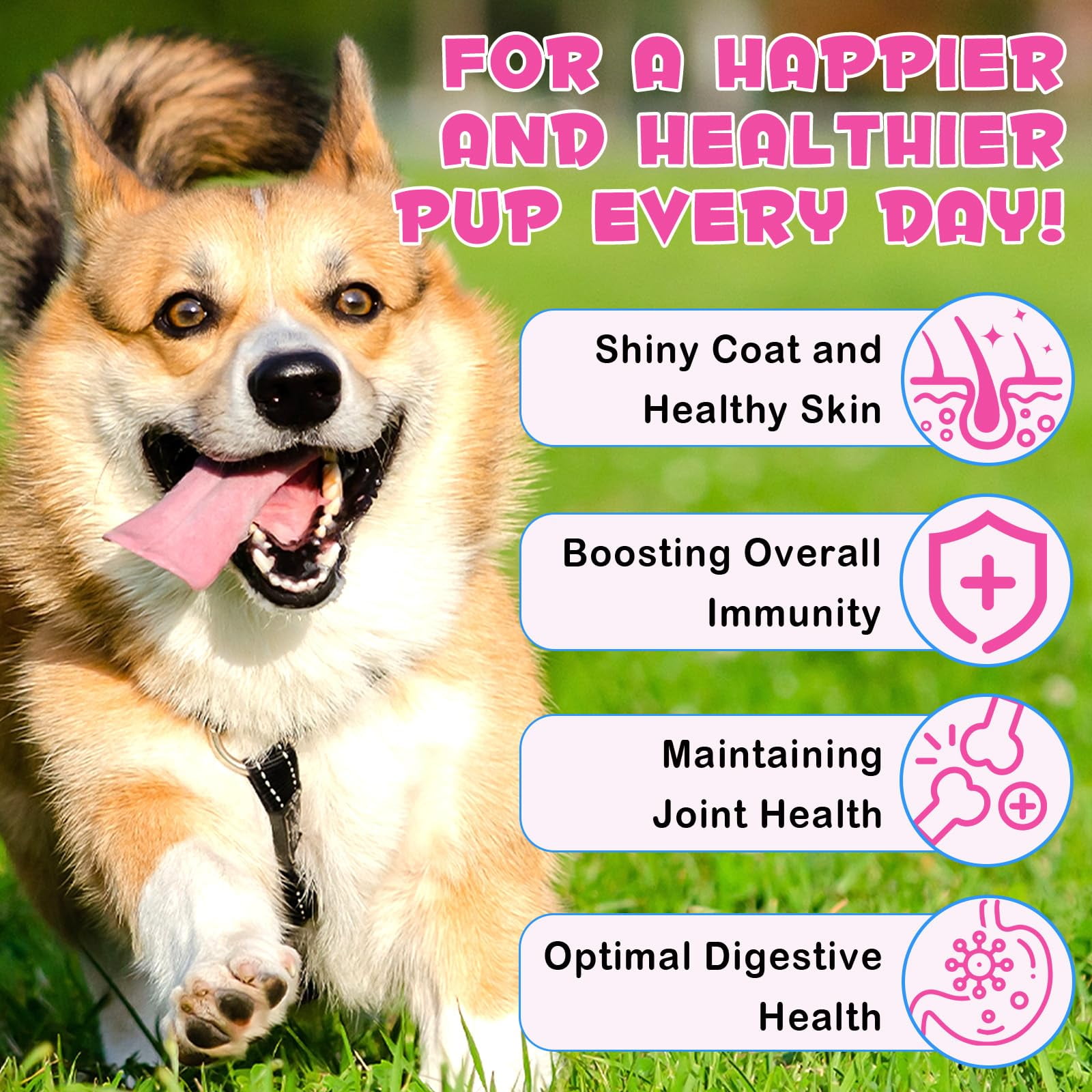 Collagen for Dogs, FEV6 Natural Liquid Collagen Drops for Supports Skin ...