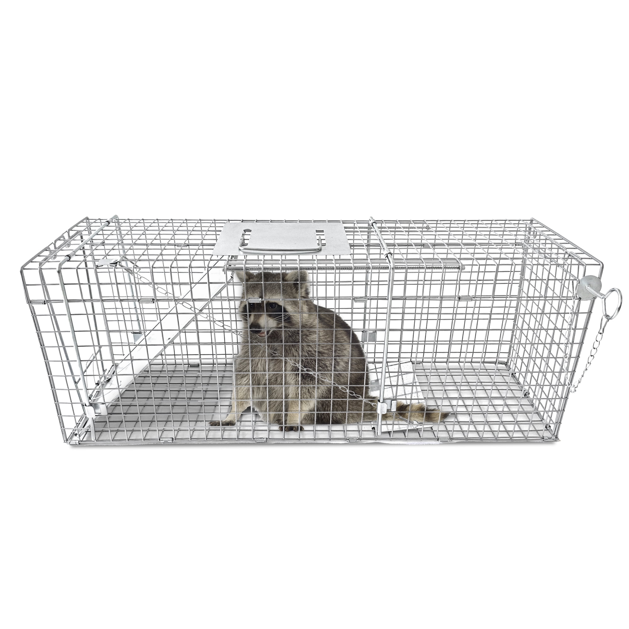 Collapsible Animal Trap Cage 32"x12"x10" Humane Catch and Release Steel ...