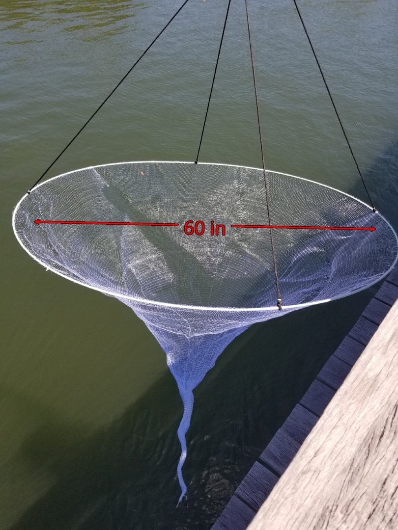 Collapsible Ballyhoo Hoop Fishing Net with 20 ft Telescoping Pole, 60 ...