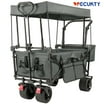 GDLF Beach Utility Folding Fishing Cart with Big Sand Surf, Heavy Duty ...