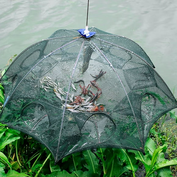 Minnow Traps