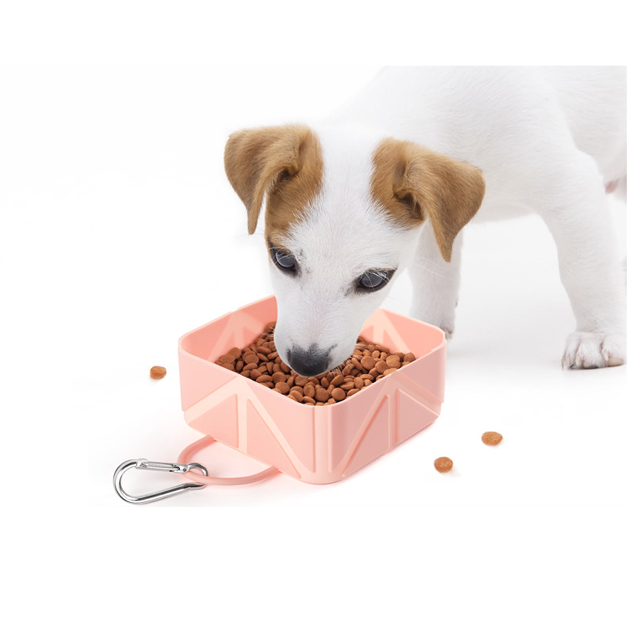Collapsible Silicone Pet Bowl, Foldable Travel Dog Bowl with Carabiner ...