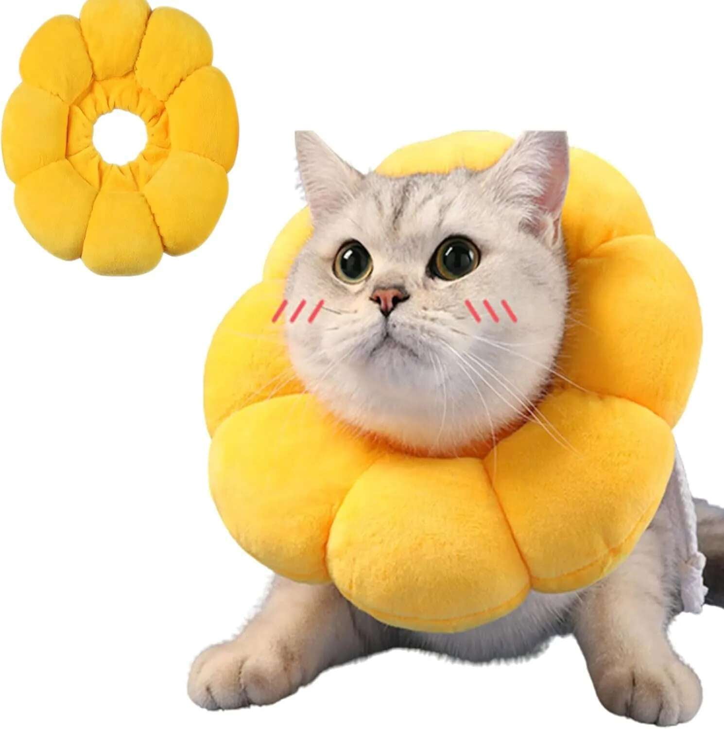 Collar, Cat Recovery Collars Elizabethan Neck After Surgery, Adjustable ...