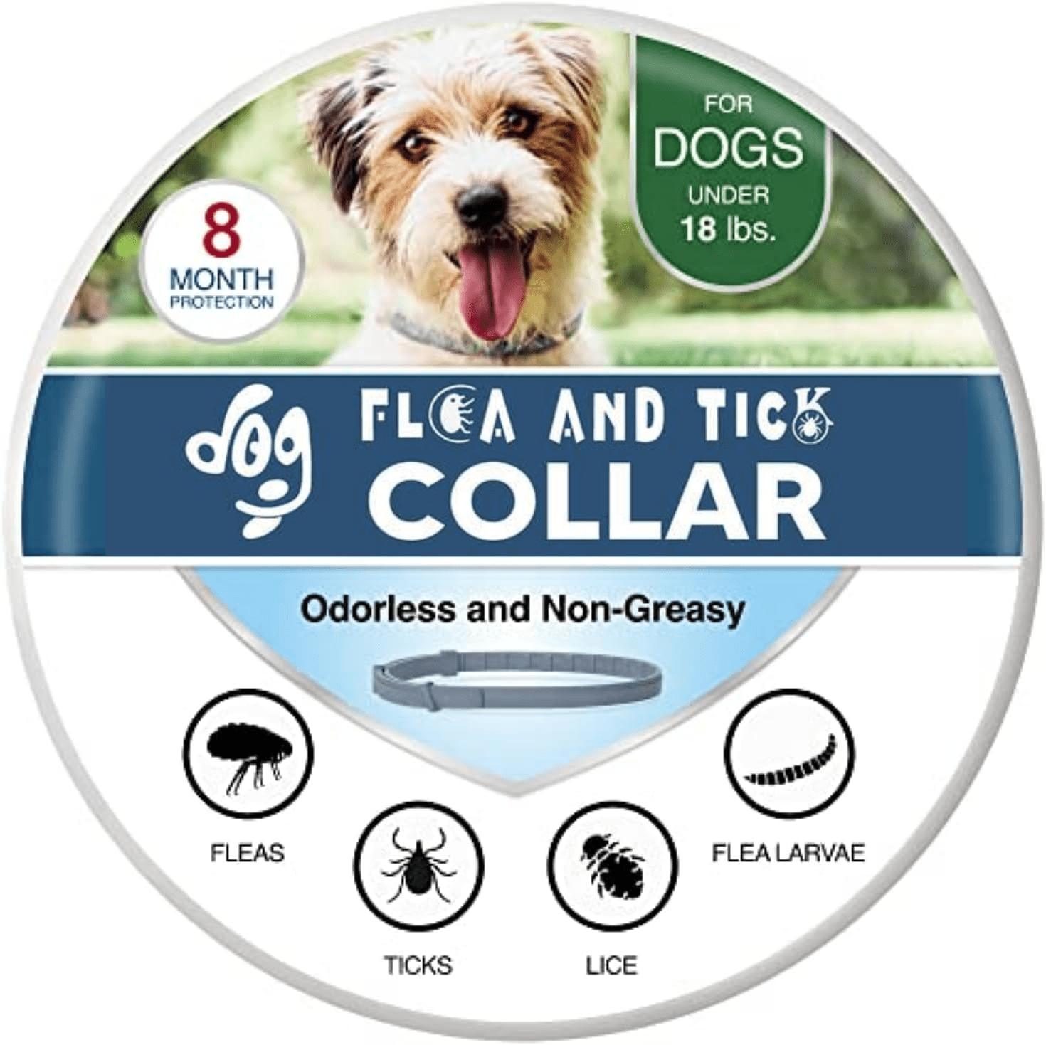 Collar for Dogs, Dogs Collar, Dog Collars for Large Dog, Adjustable ...