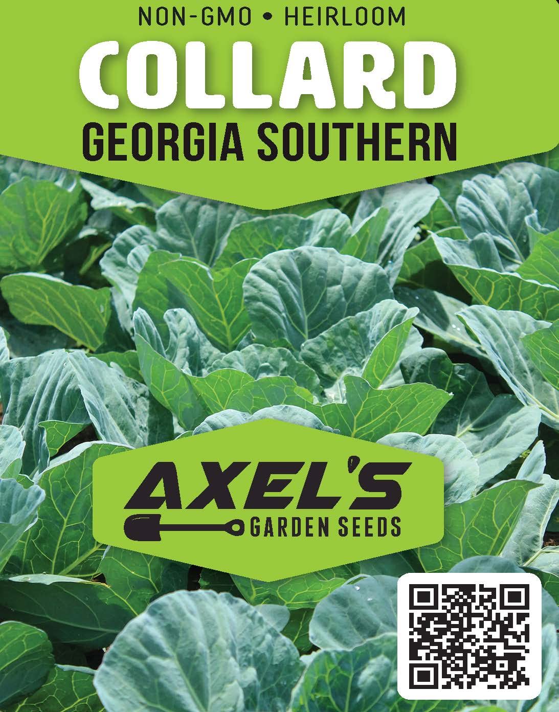 Collard Green Seeds for Planting - Plant H2FSD& Grow Georgia Southern ...