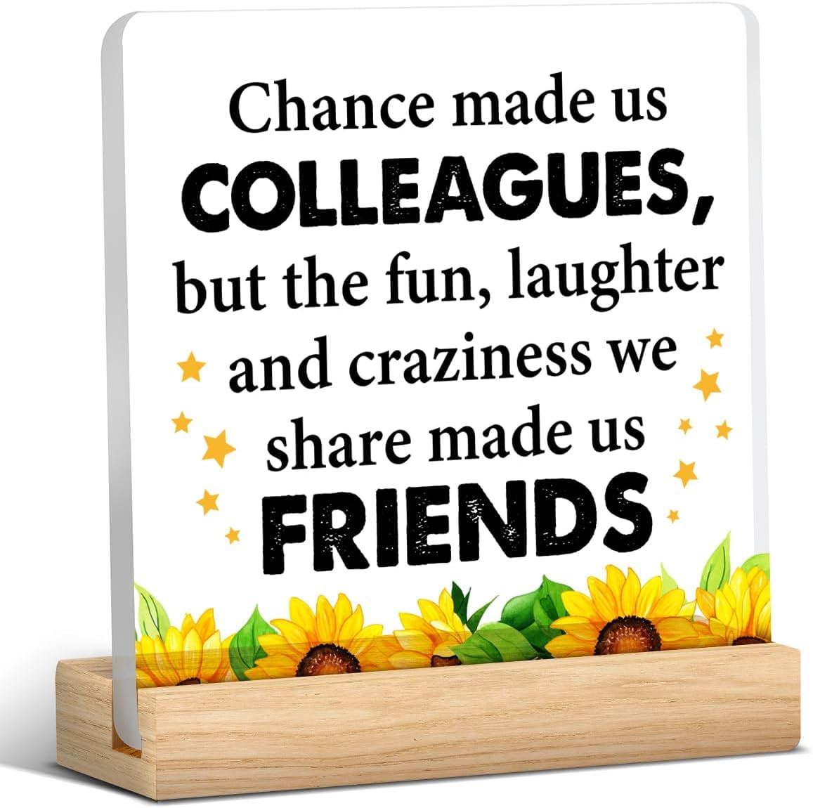 Colleagues Gifts, Thank You Gift for Colleagues Women, Friendship Gift ...