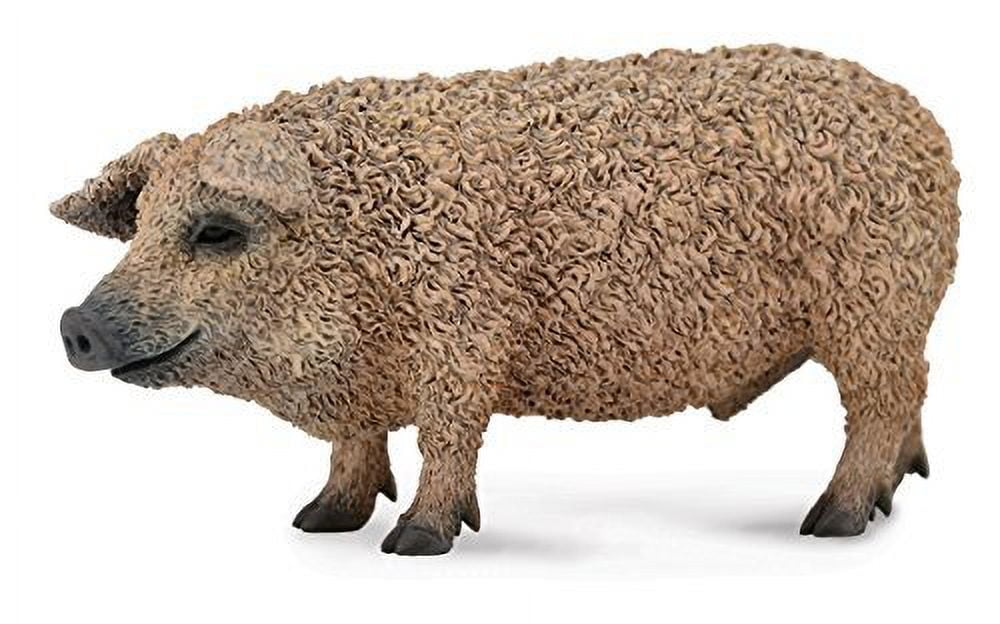 Collect A Farm Life Hungarian Pig Toy Figure - Walmart.com