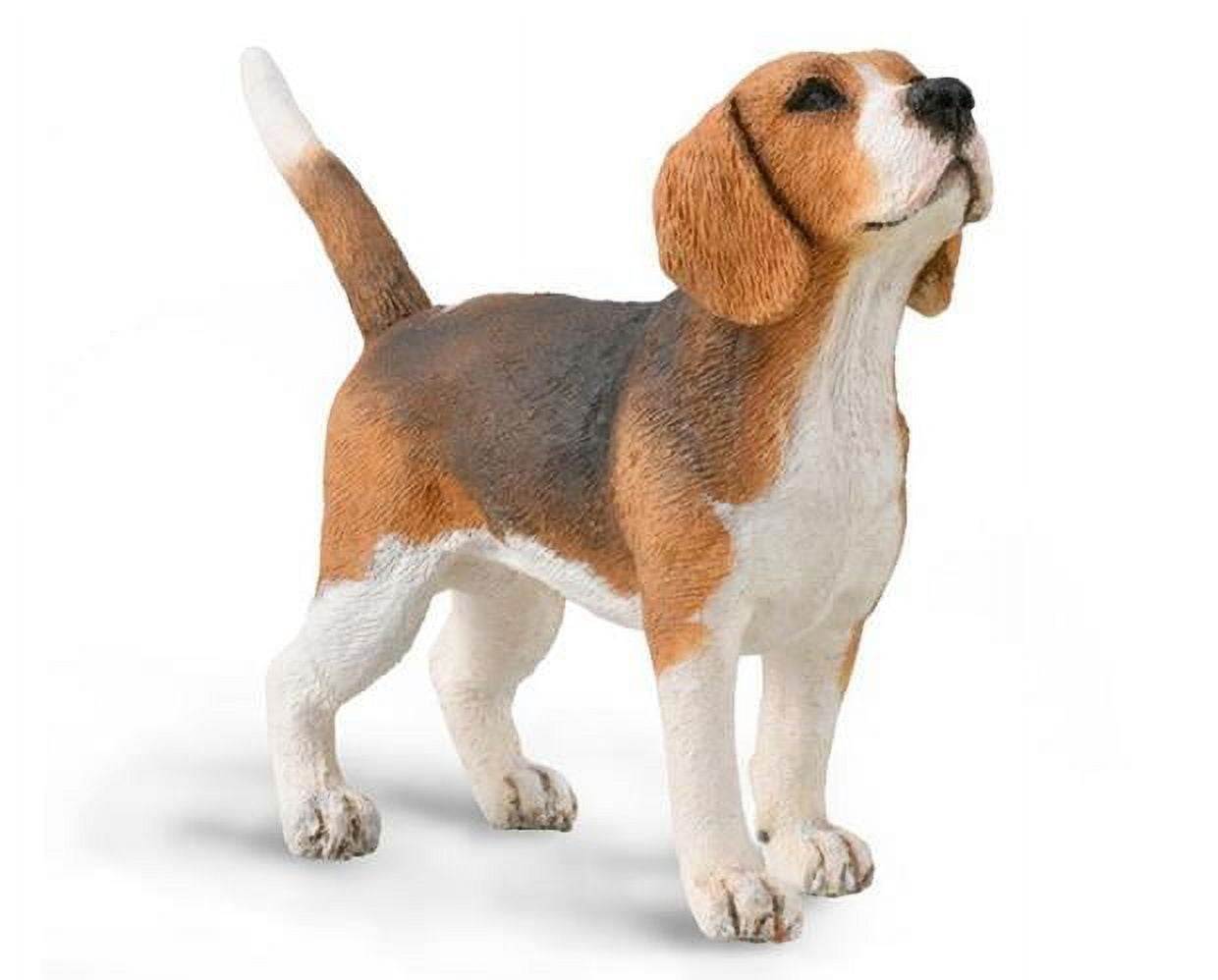 CollectA Cats & Dogs Collection Miniature Figure | Beagle - Walmart.com