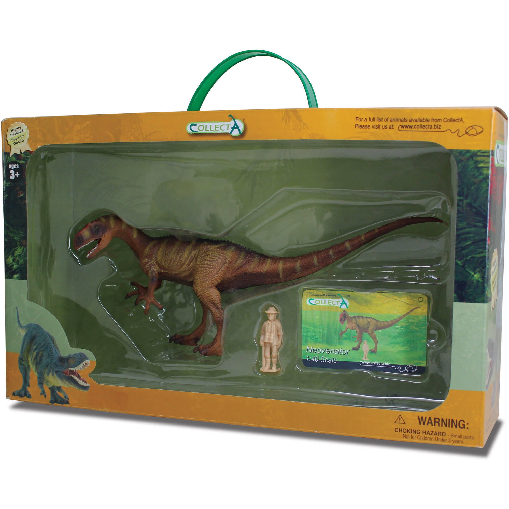 CollectA Neovenator Dinosaur Figure in Window Box - Hand-Painted, Hand ...
