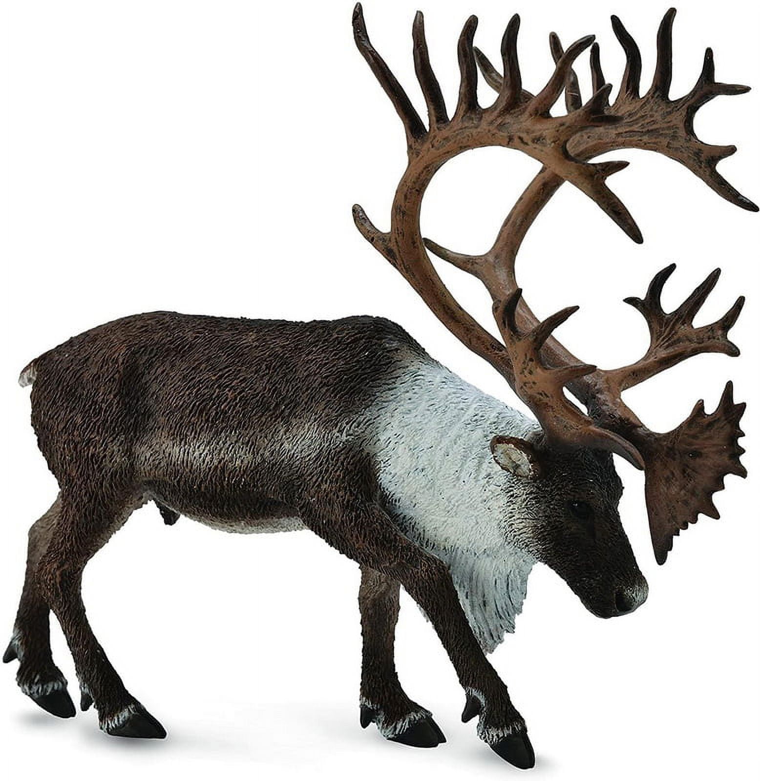 CollectA Wildlife Collection Miniature Figure | Woodland Caribou ...
